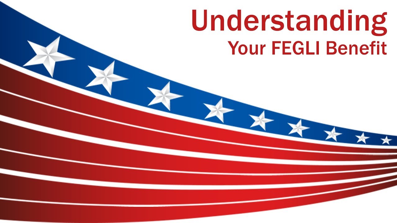 Decoding the Insurance Dilemma: FEGLI vs. Private Insurance for ...